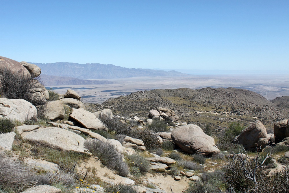 Culp Valley Loop (Culp Valley Overlook and Peña Springs)