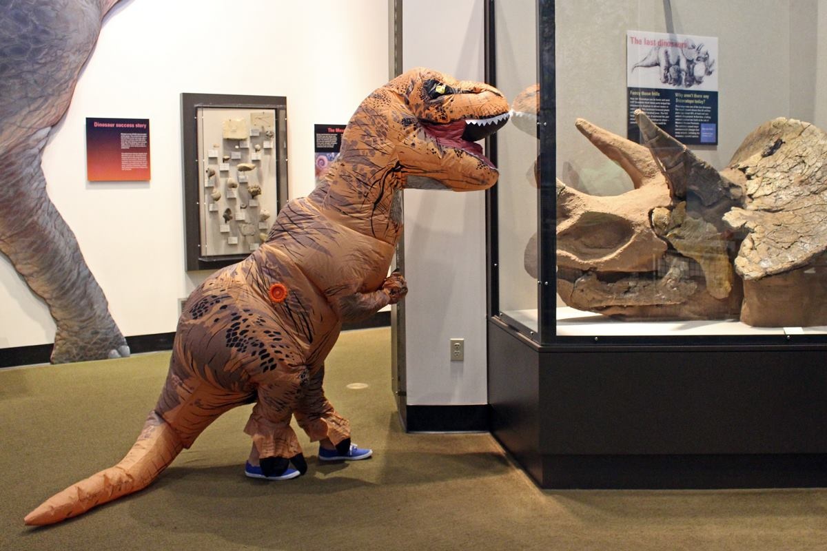 Burke Museum of Natural History and Culture