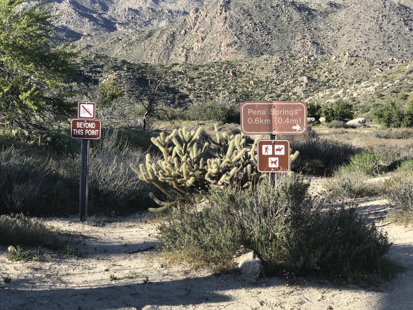 Peña Springs Trail