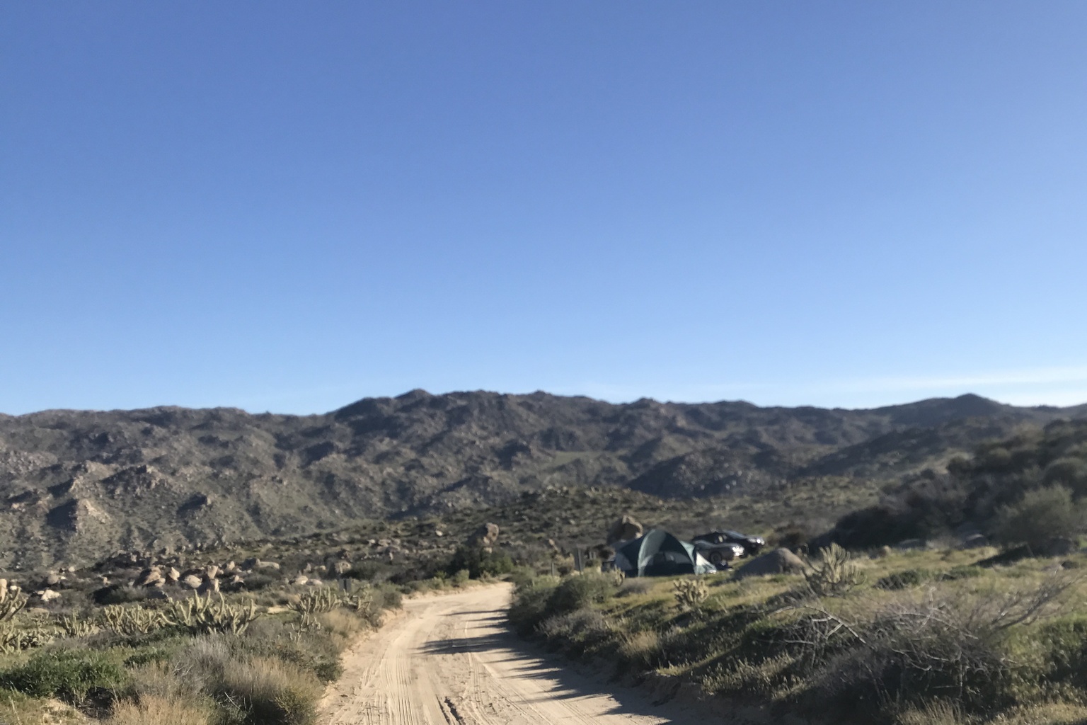 Culp Valley Primitive Camp