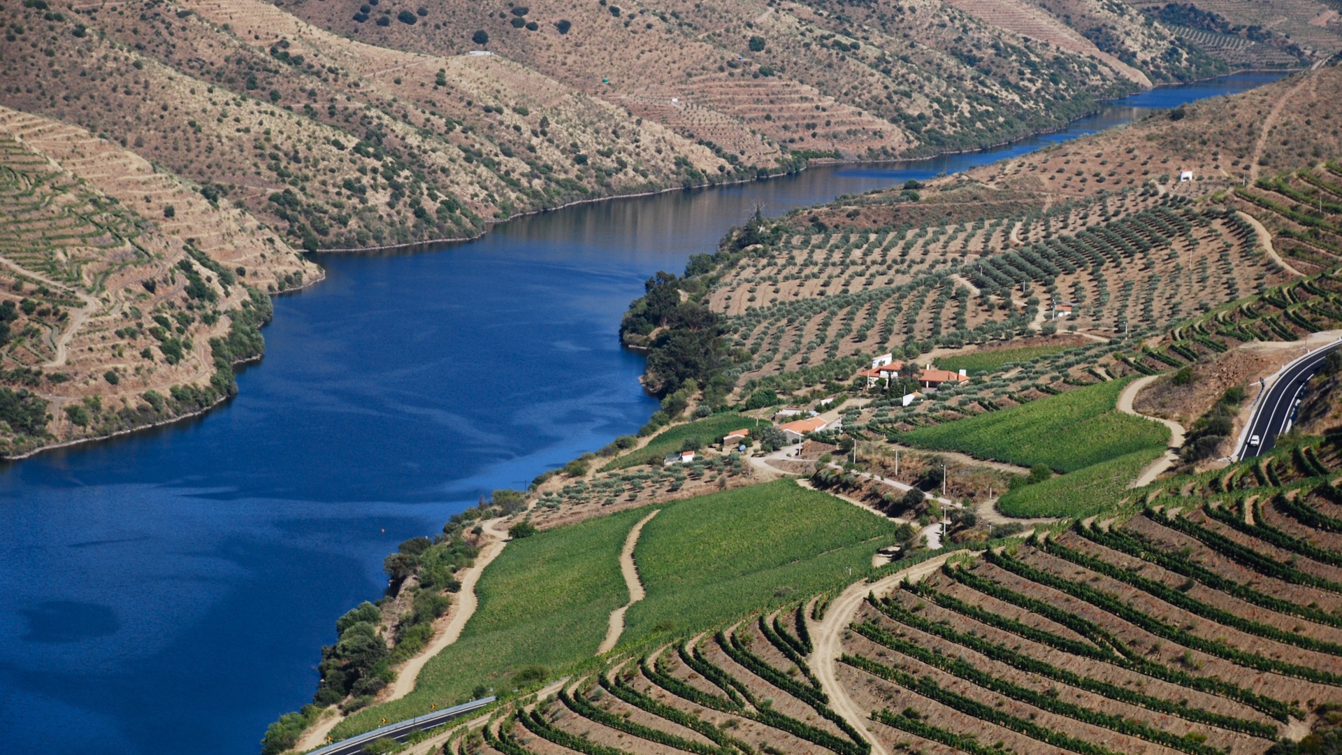 Alto Douro Wine Region