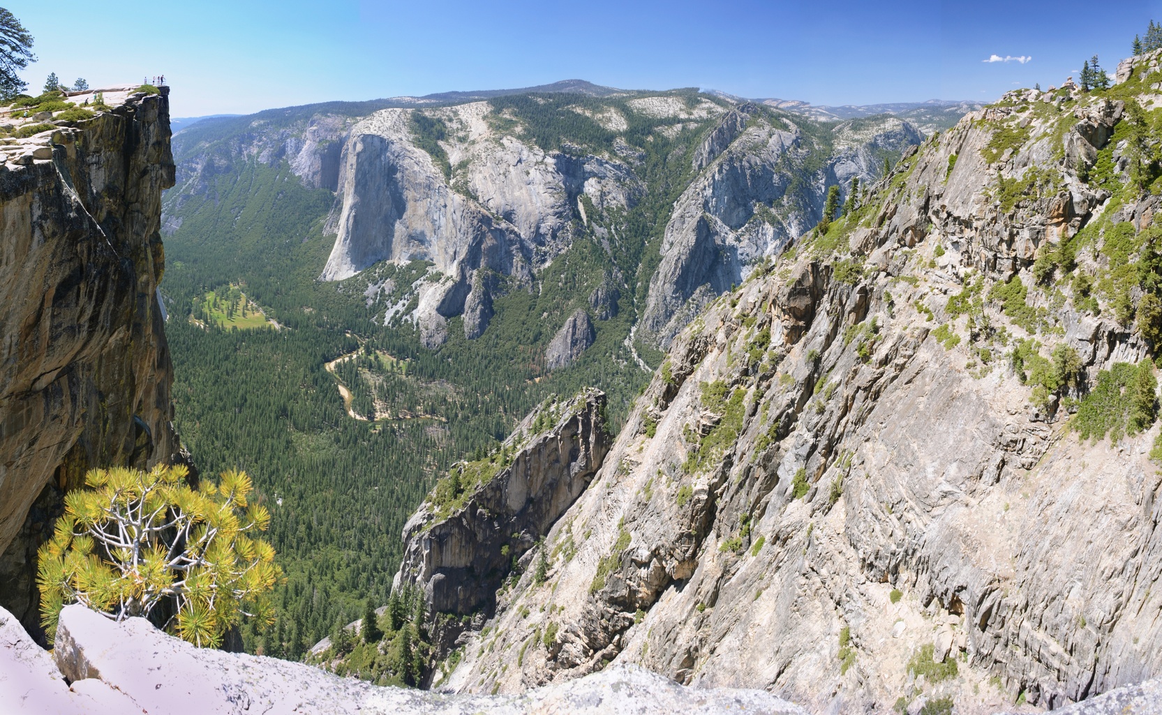 Taft Point Trail
