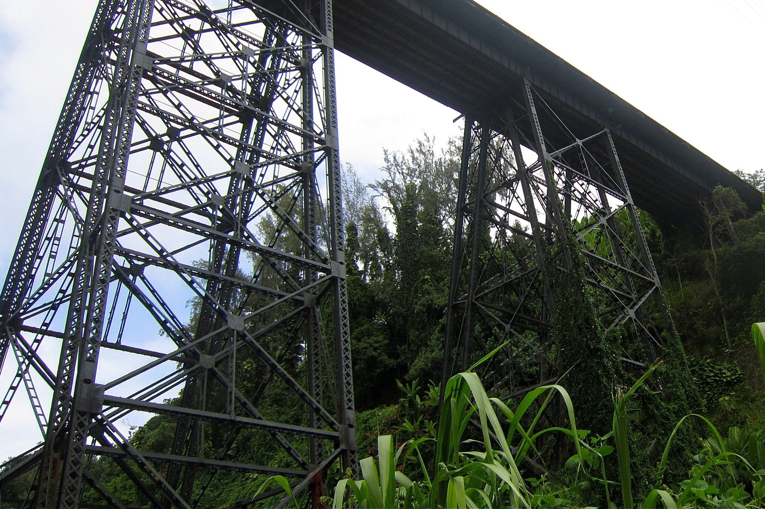 Steel Trestle Bridges along Hamakua Coast