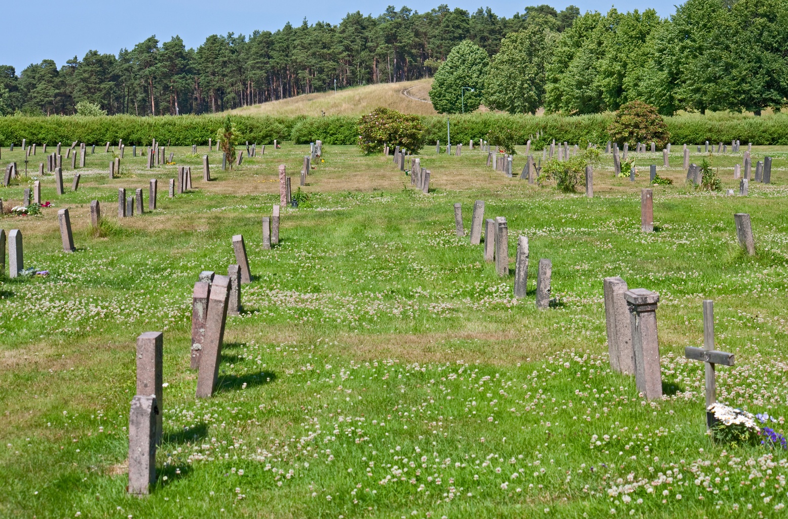Skogskyrkogården Cemetery