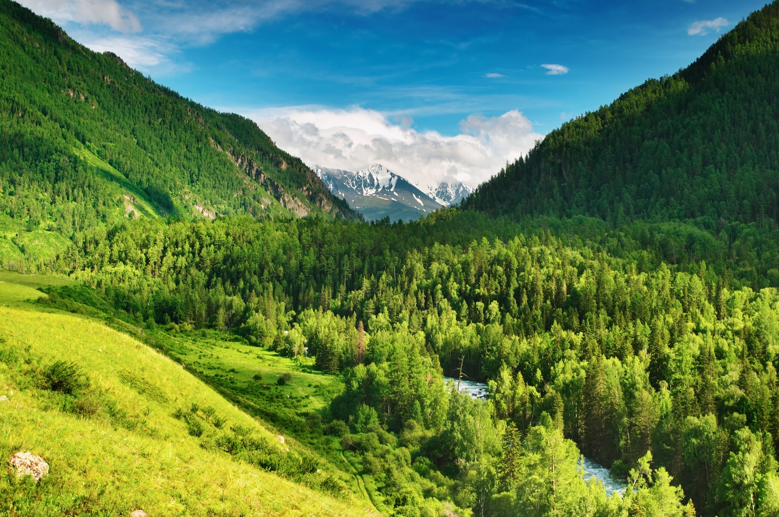 Altai Mountains