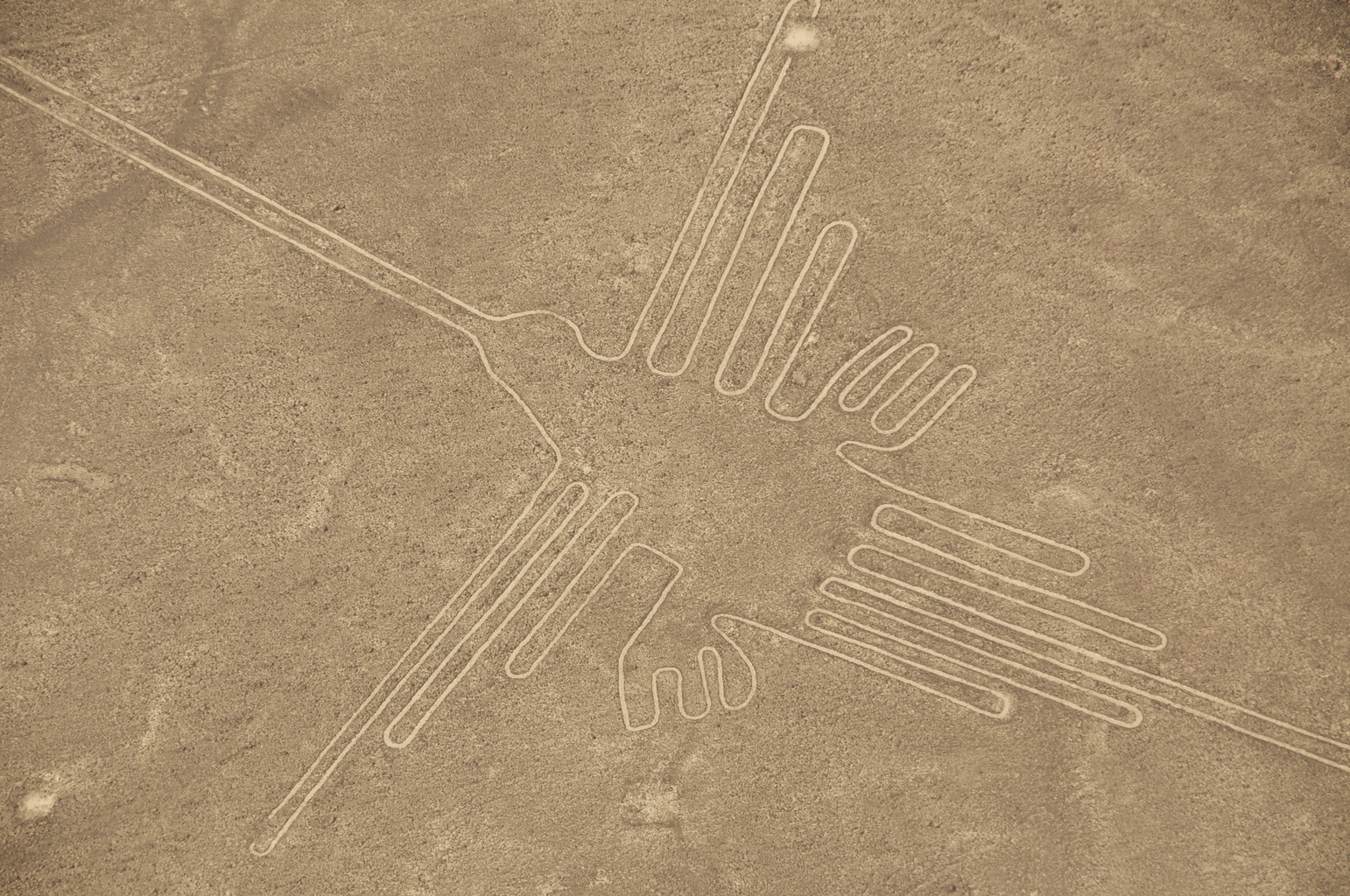 Nazca Lines