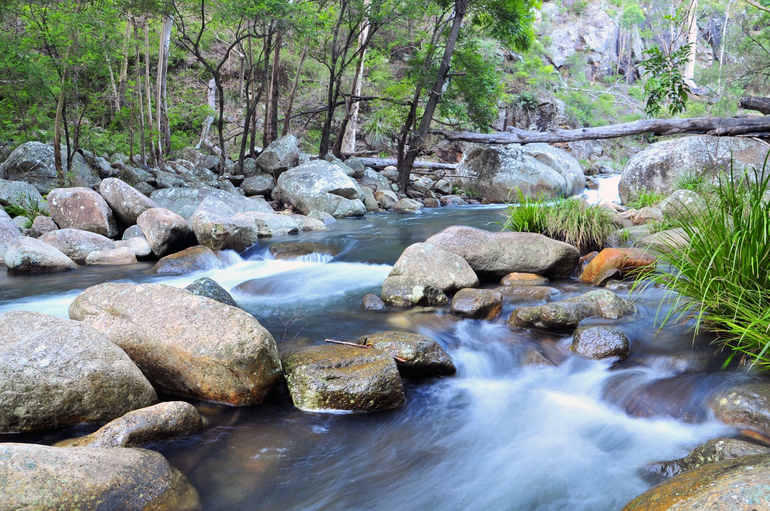 Mount Barney National Park