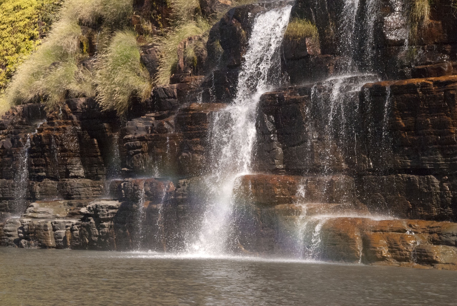 Prince Regent and Mitchell River Important Bird Area