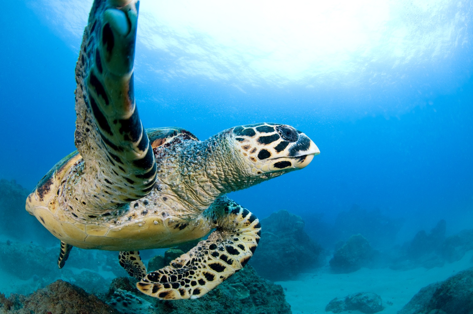 Sodwana Bay National Park
