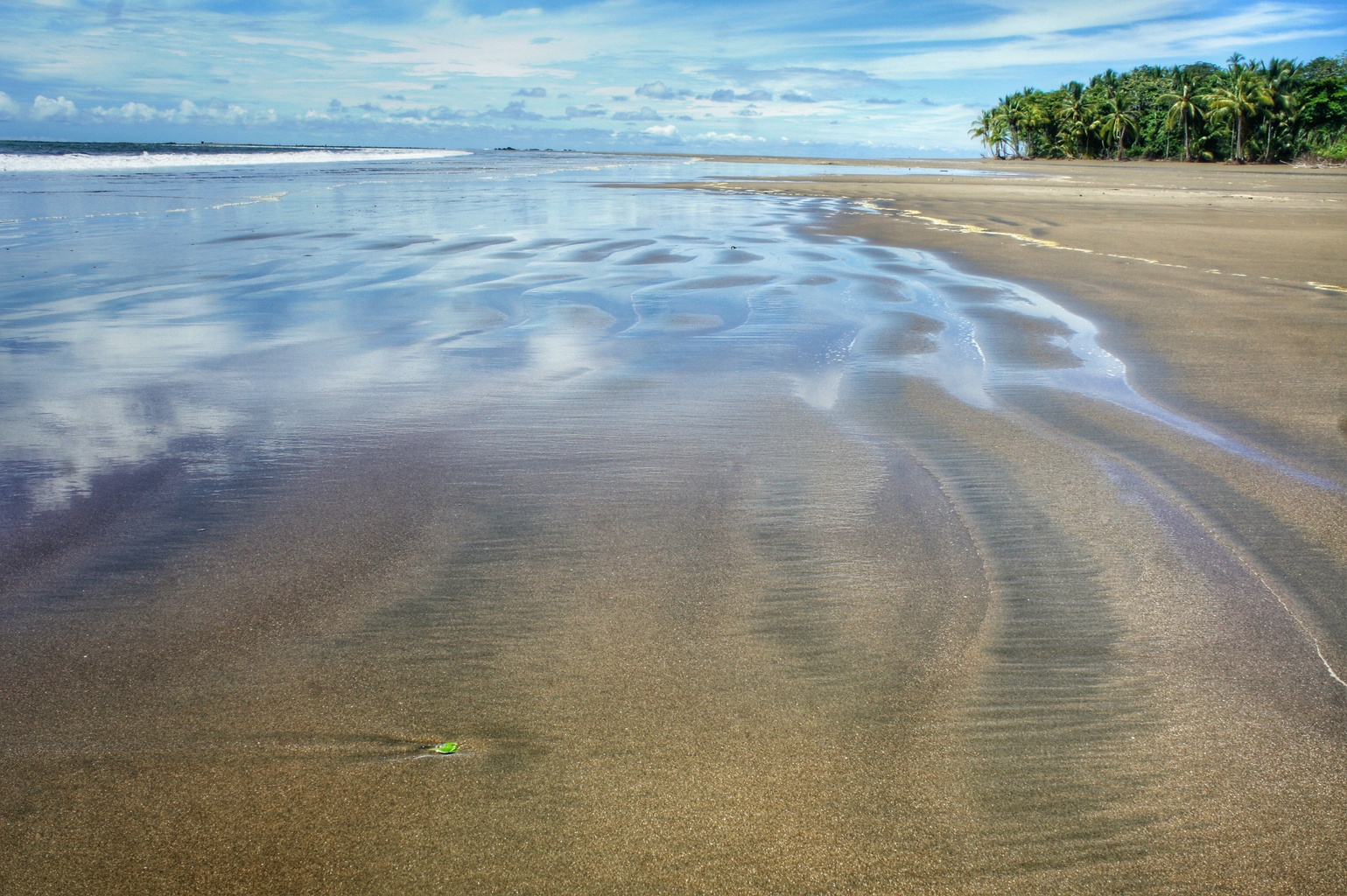 Uvita