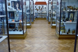 Musée Fragonard d'Alfort