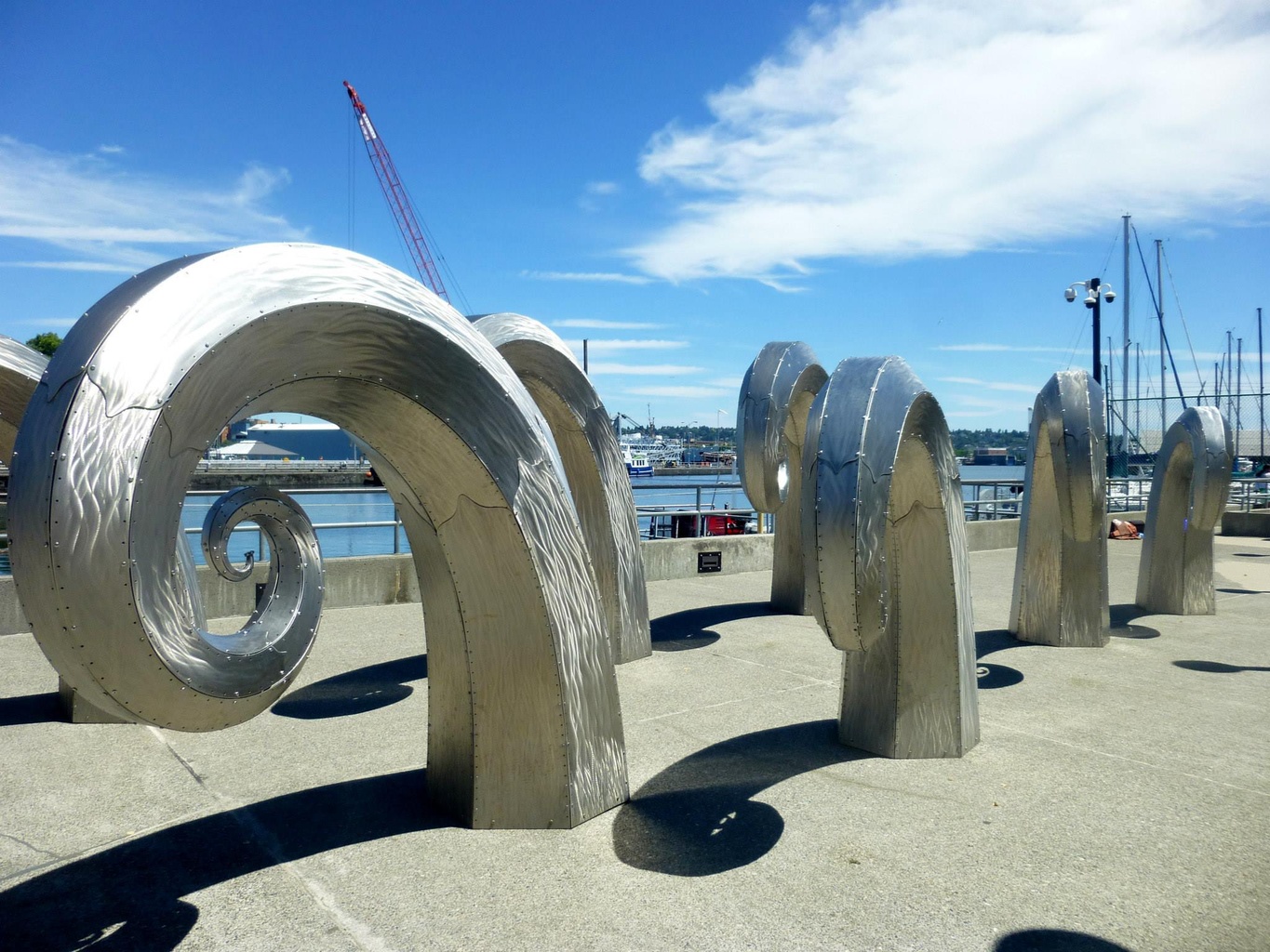 Ballard Locks Fish Ladder