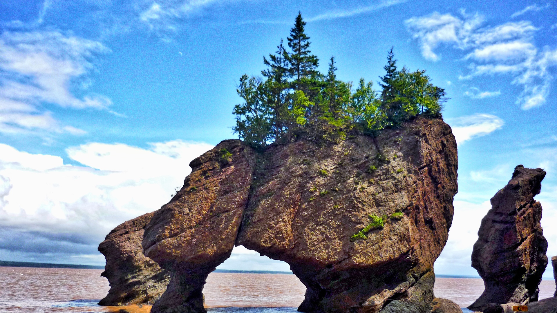 Hopewell Rocks (Flowerpots Rocks)