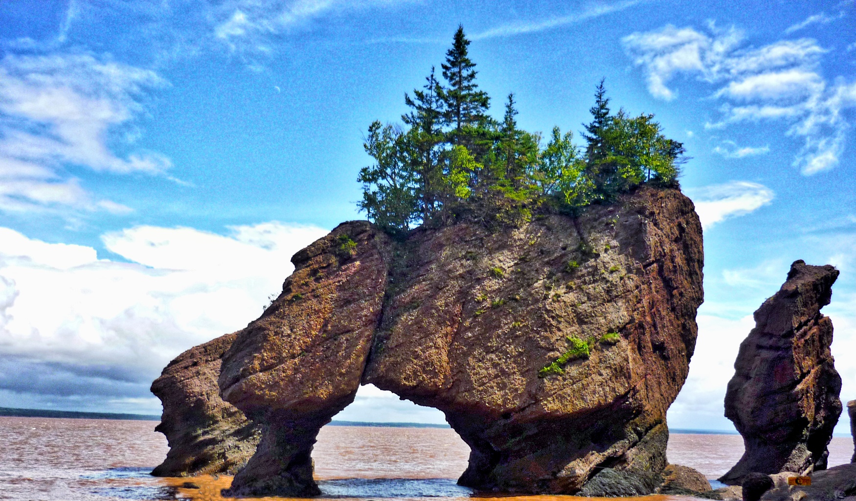 Hopewell Rocks (Flowerpots Rocks)