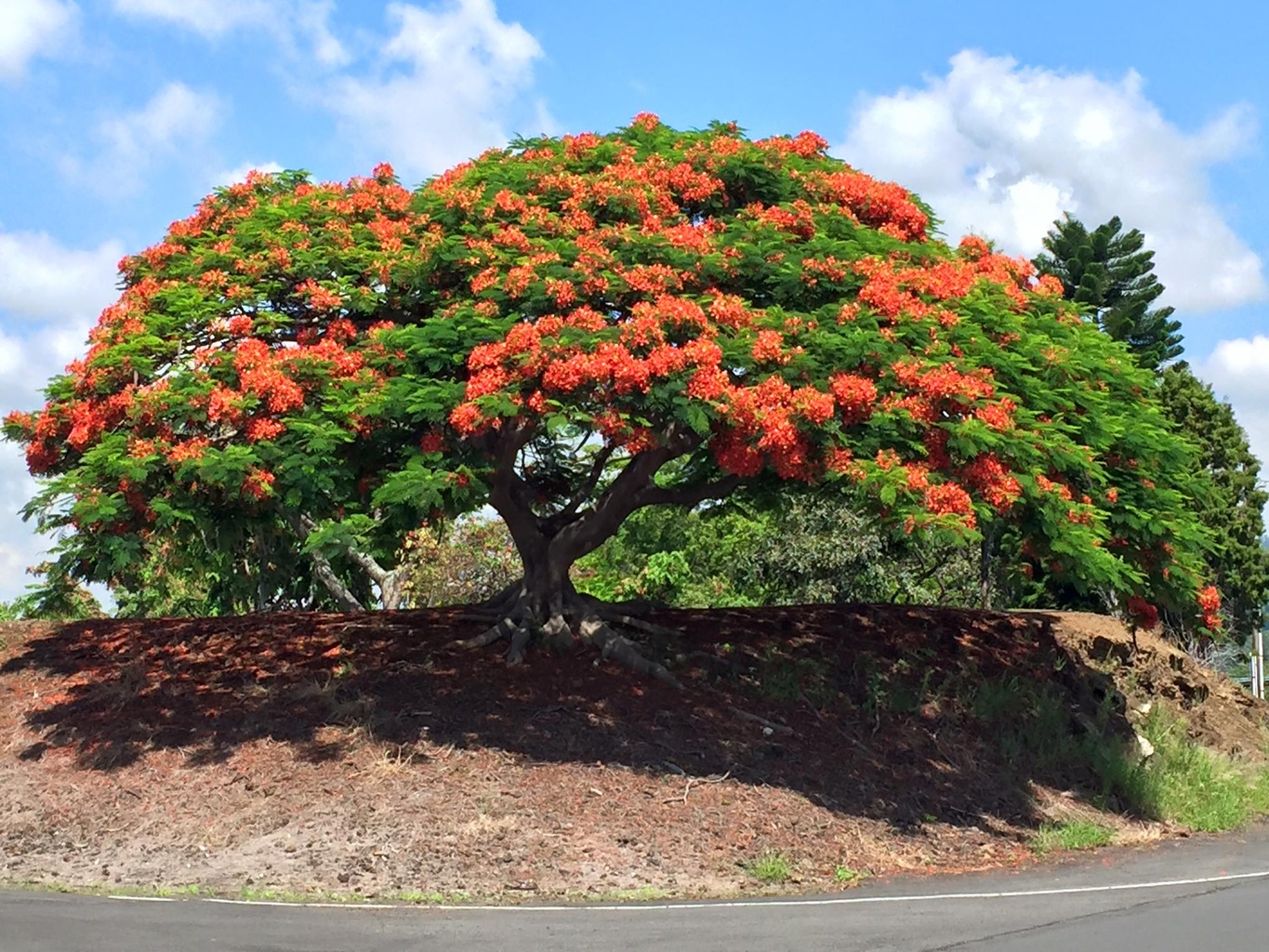 Pahala Community Center