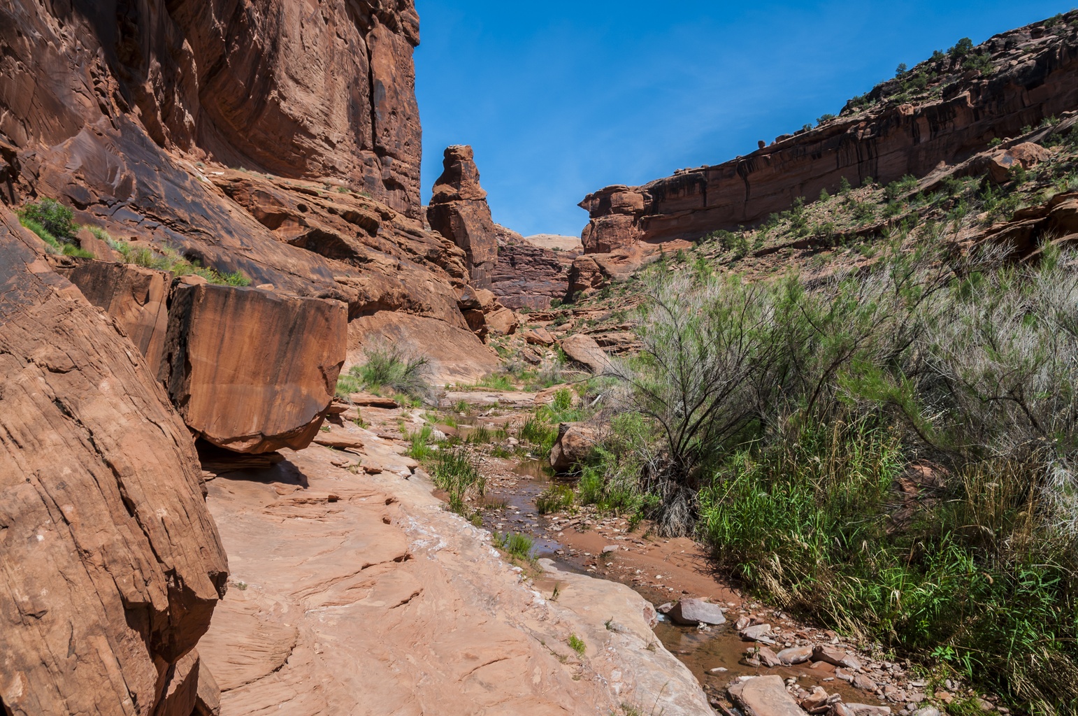 Hunter Arch (Hunter Canyon)