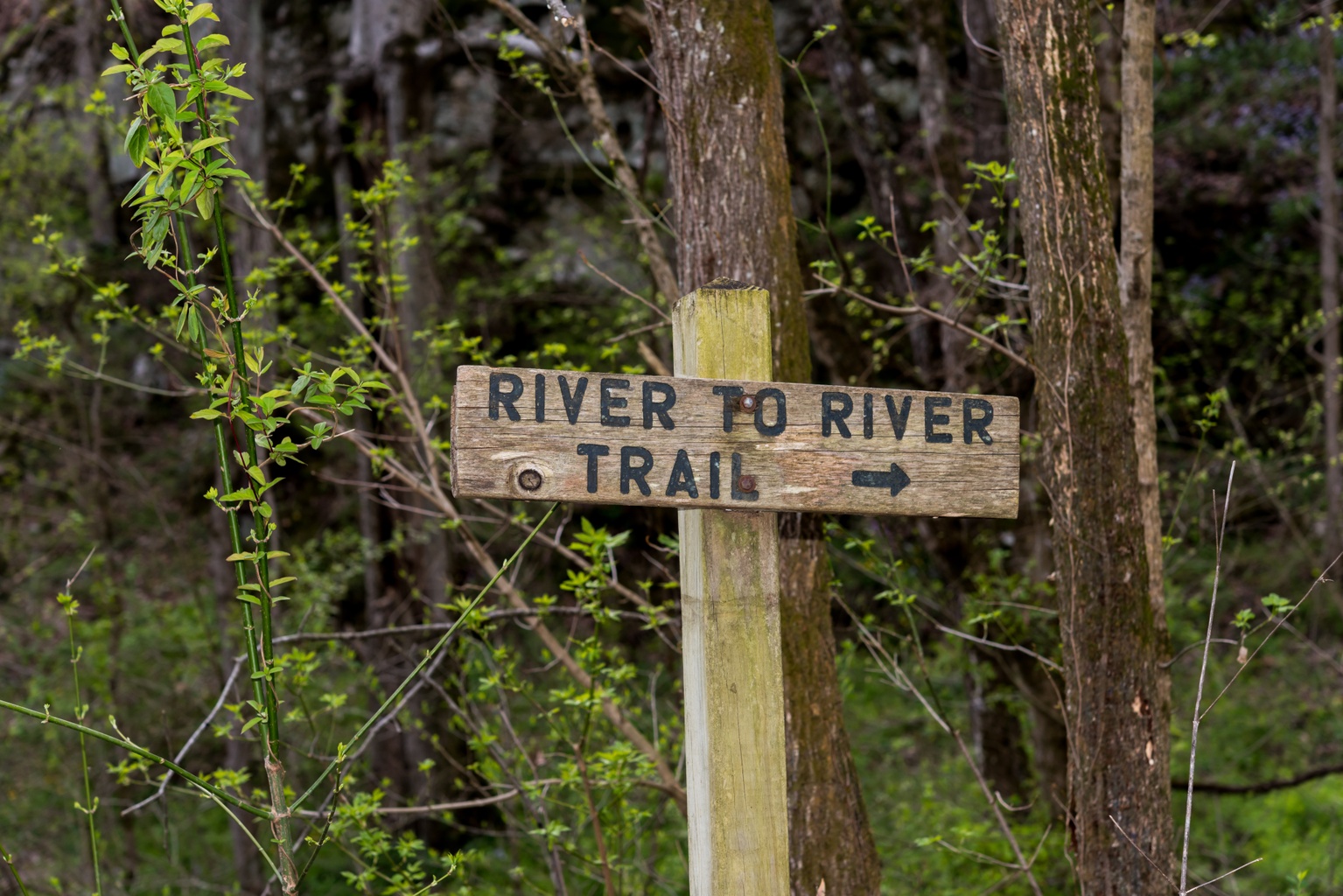 River to River Trail