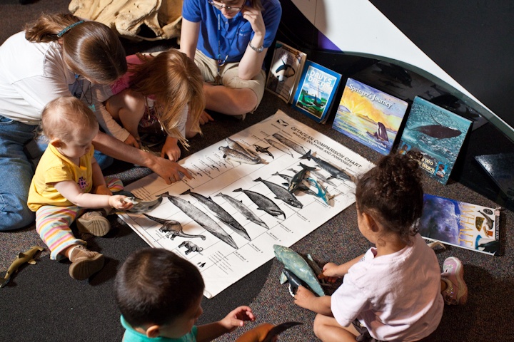 Family Activity Center