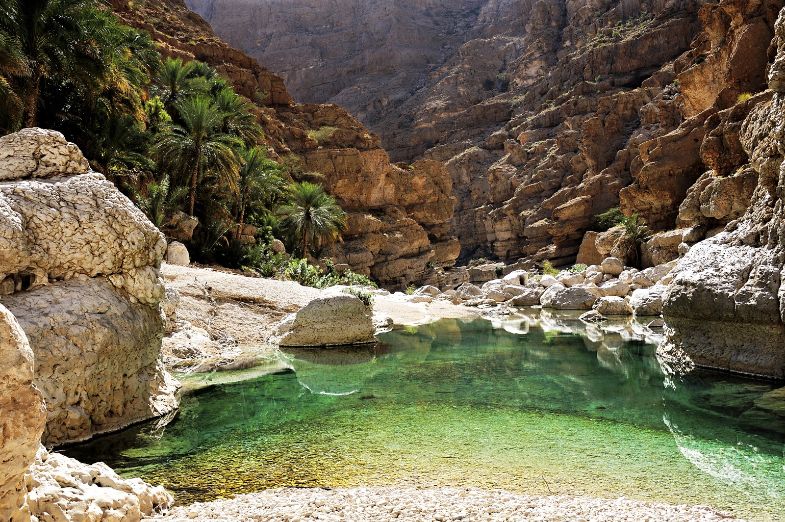 Wadi Shab, Tiwi