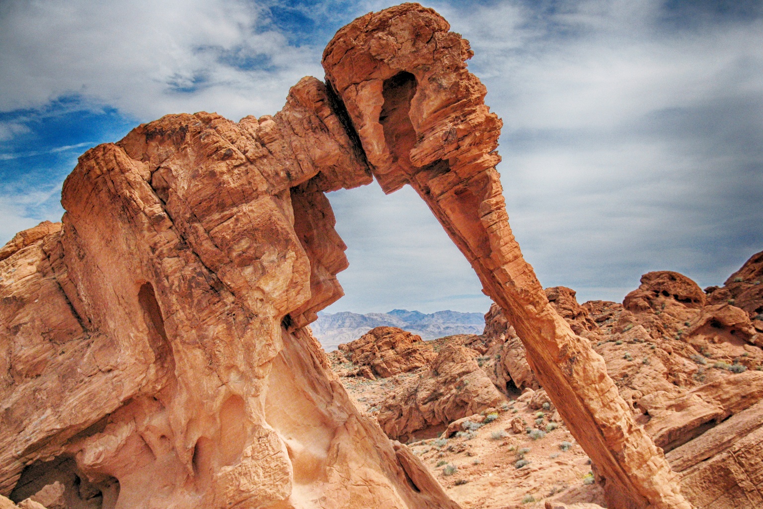 Elephant Rock (Valley of Fire)
