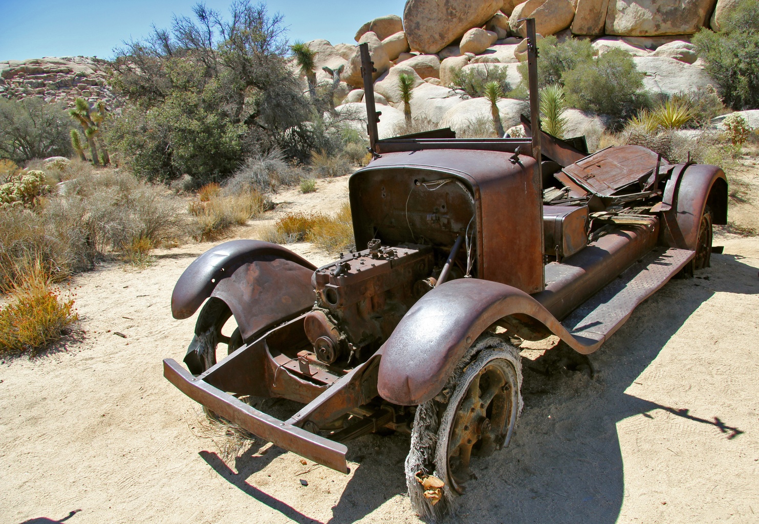 Wonderland Ranch Car