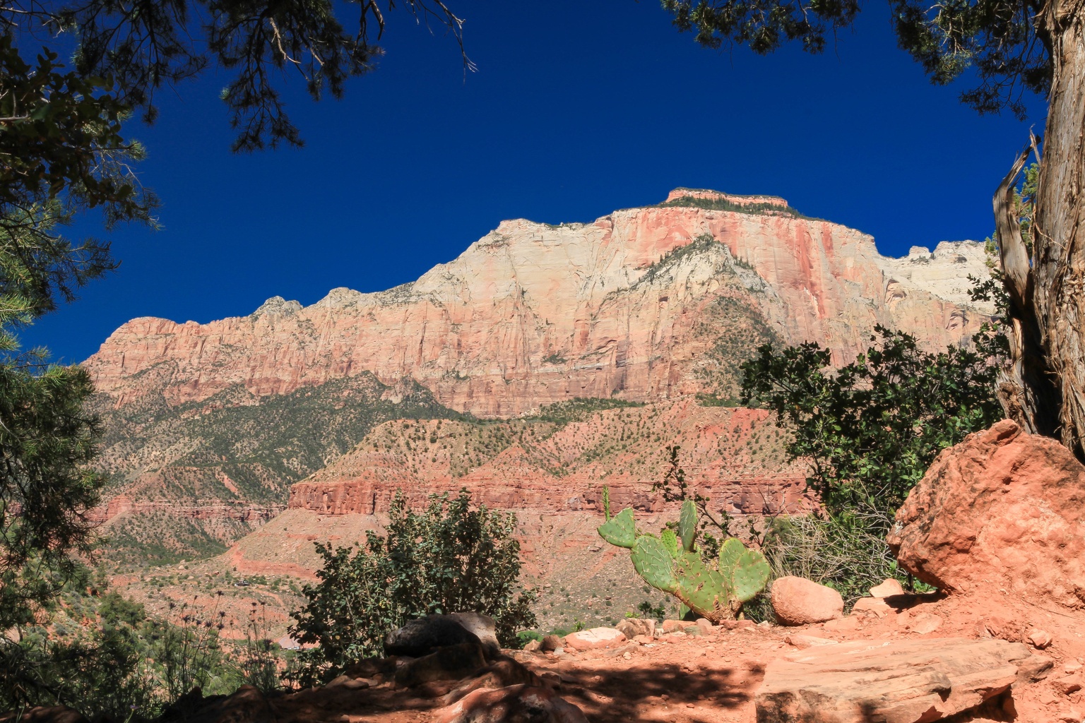 Watchman Trail