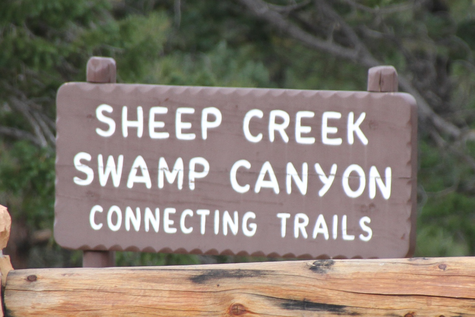 Swamp Canyon Trail