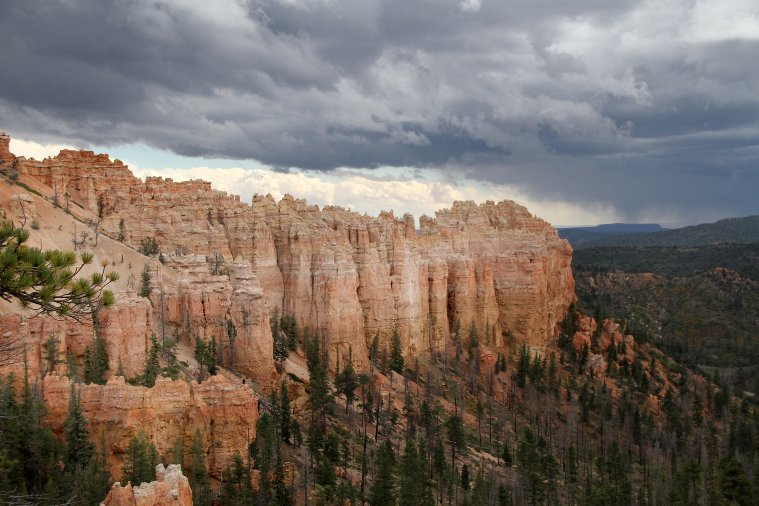 Swamp Canyon Viewpoint