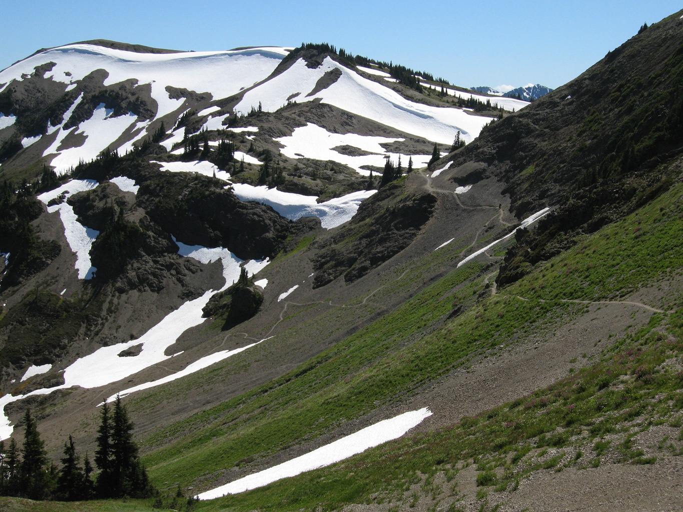 Deer Park-Obstruction Point Trail