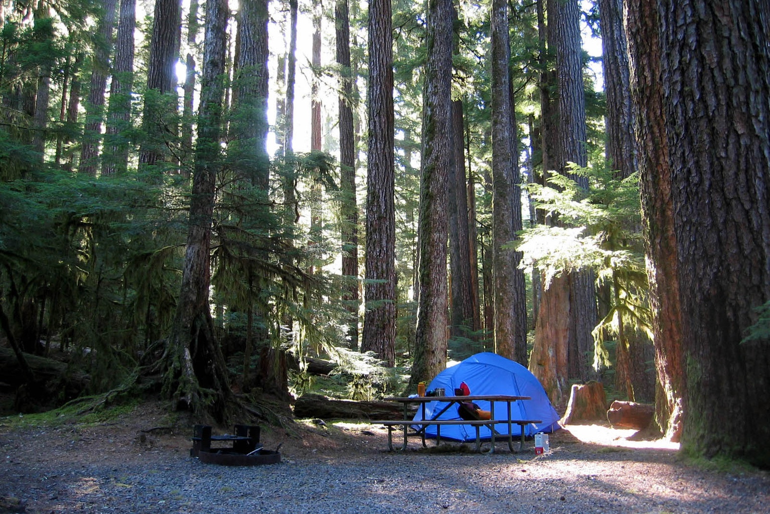 Sol Duc Park (High Divide Loop)