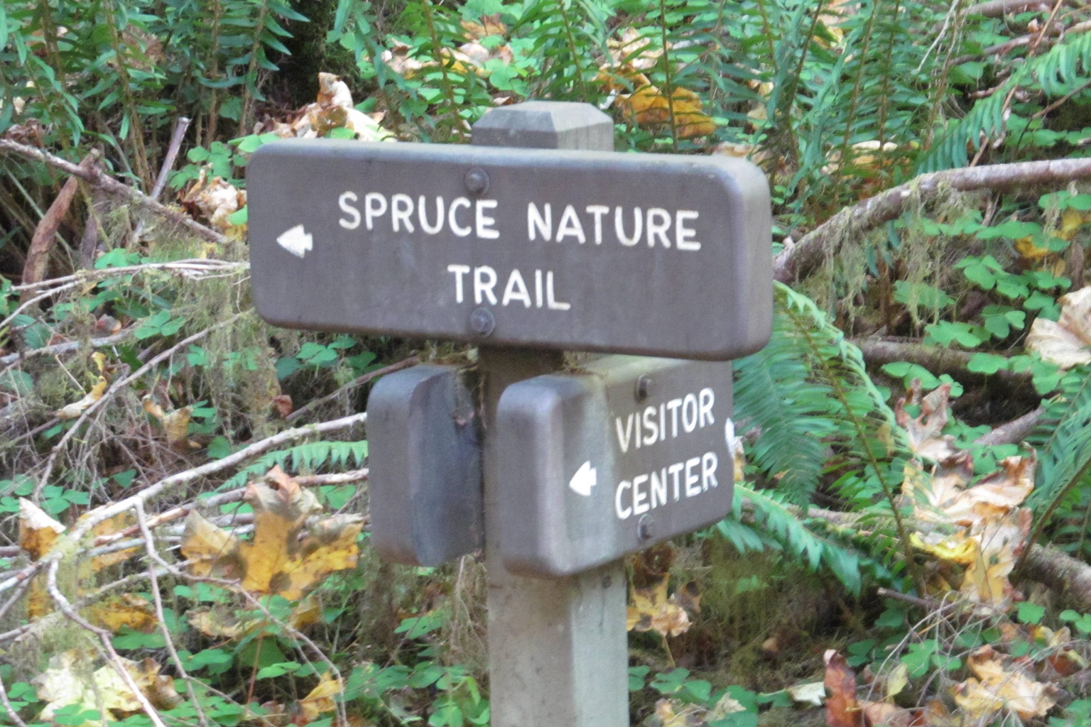 Spruce Nature Trail