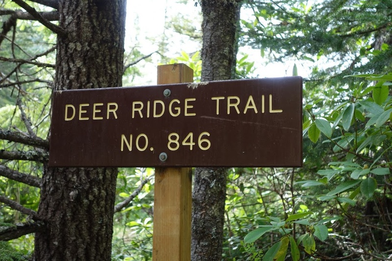 Deer Ridge Trail