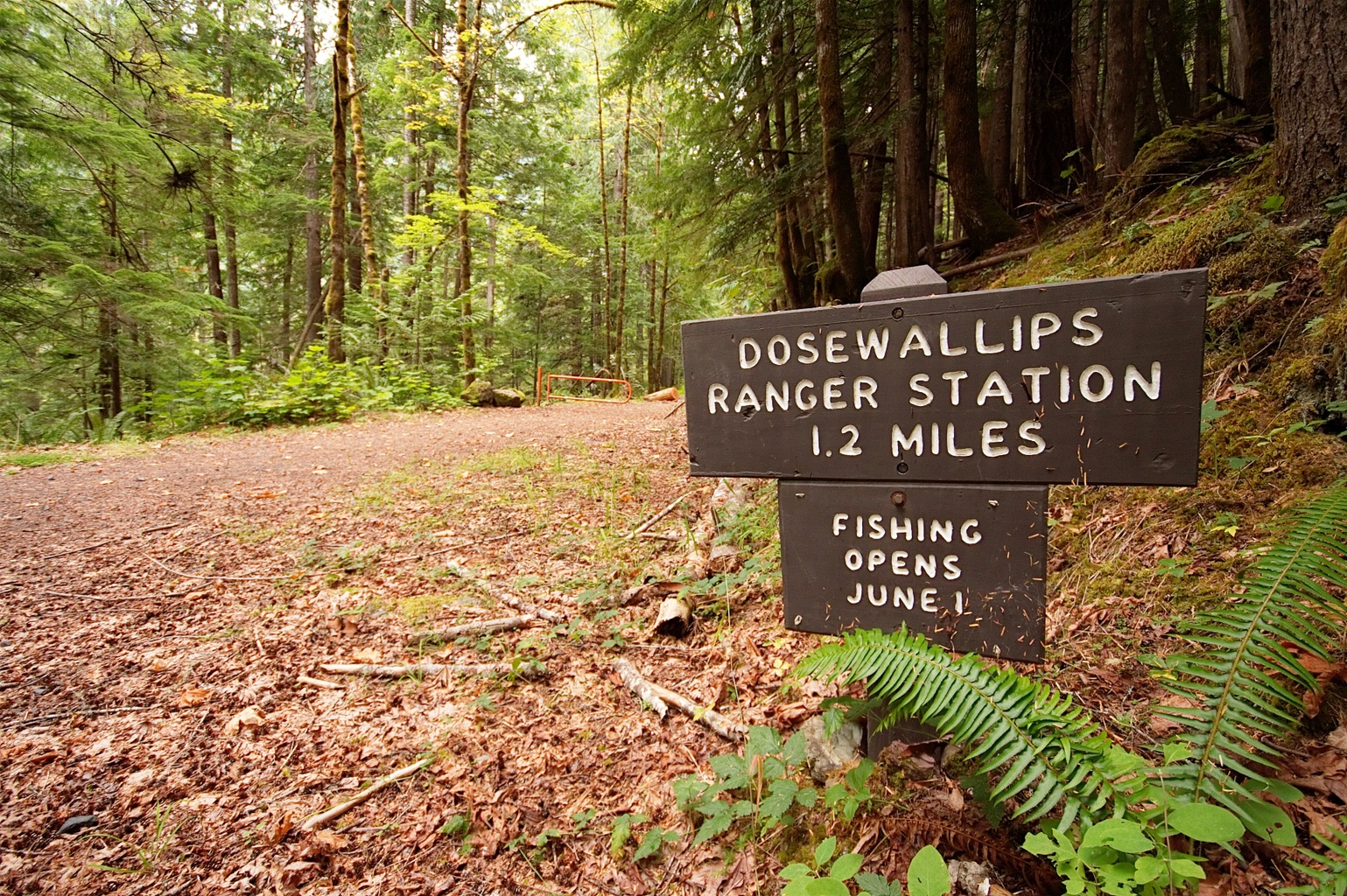 Dosewallips Campground
