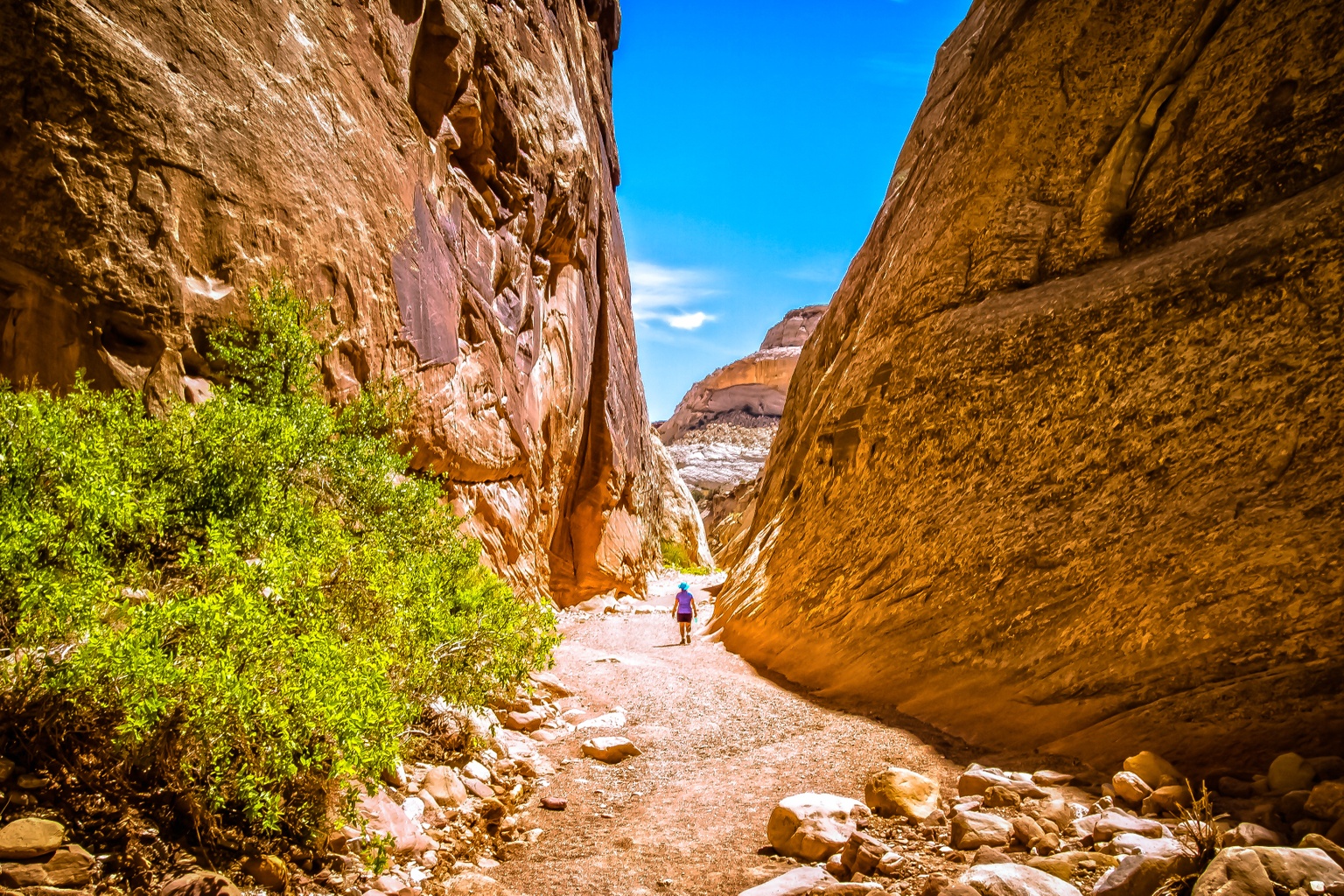 Capitol Gorge Pioneer Trail