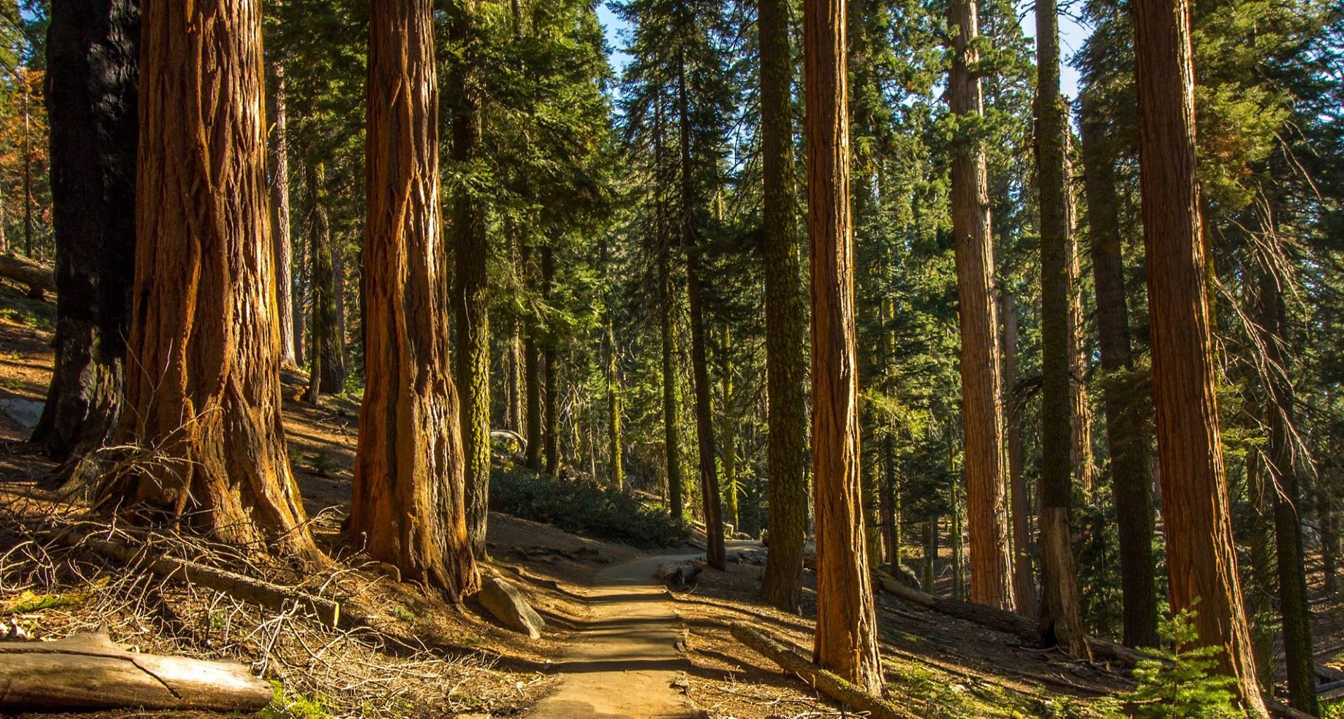 Congress Trail