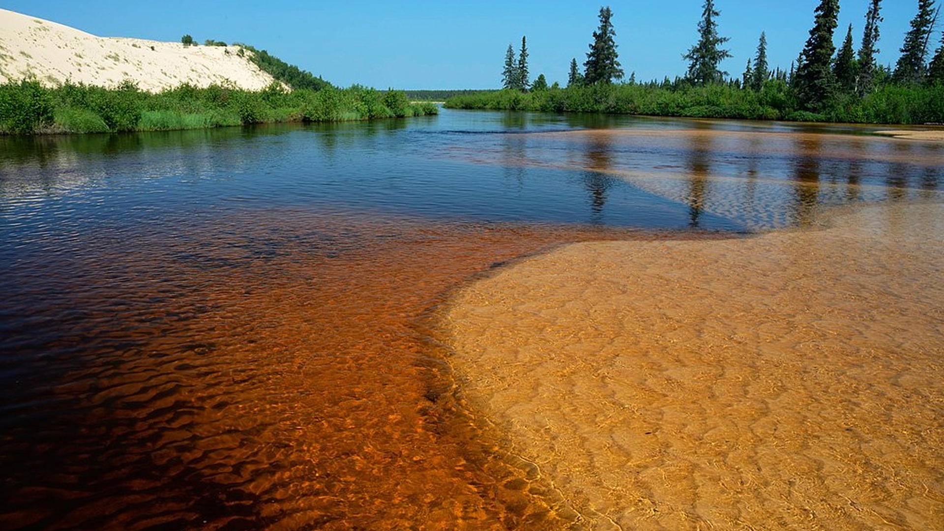Athabasca Sand Dunes Provincial Park