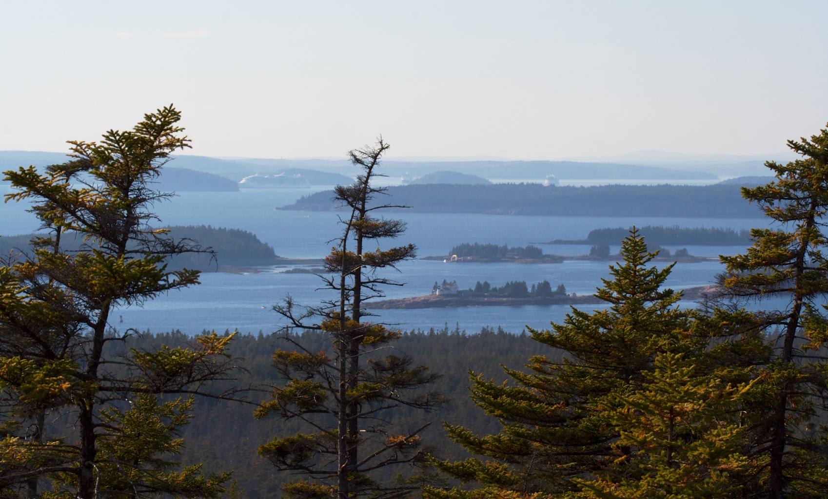 Schoodic Head Trail