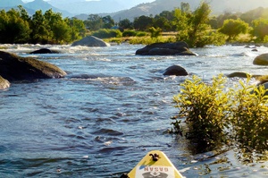 Kaweah River