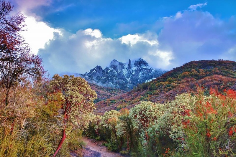 Middle Fork Trail