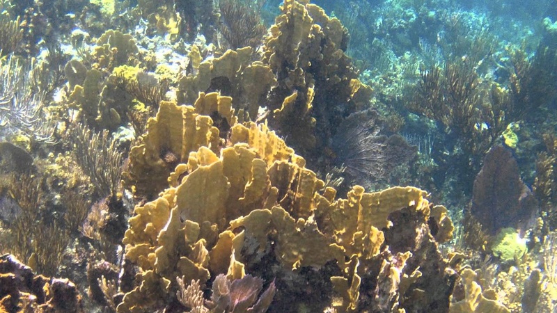 Walker's Cay National Park