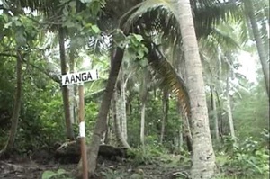 Mauke Island