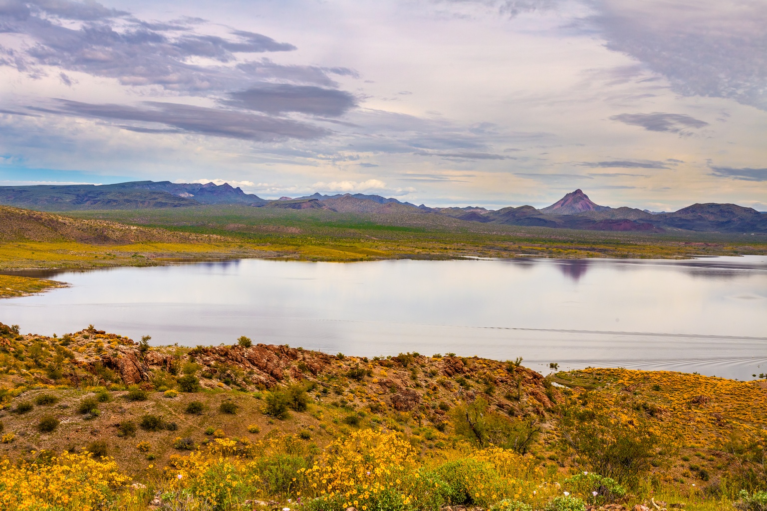 Alamo Lake State Park