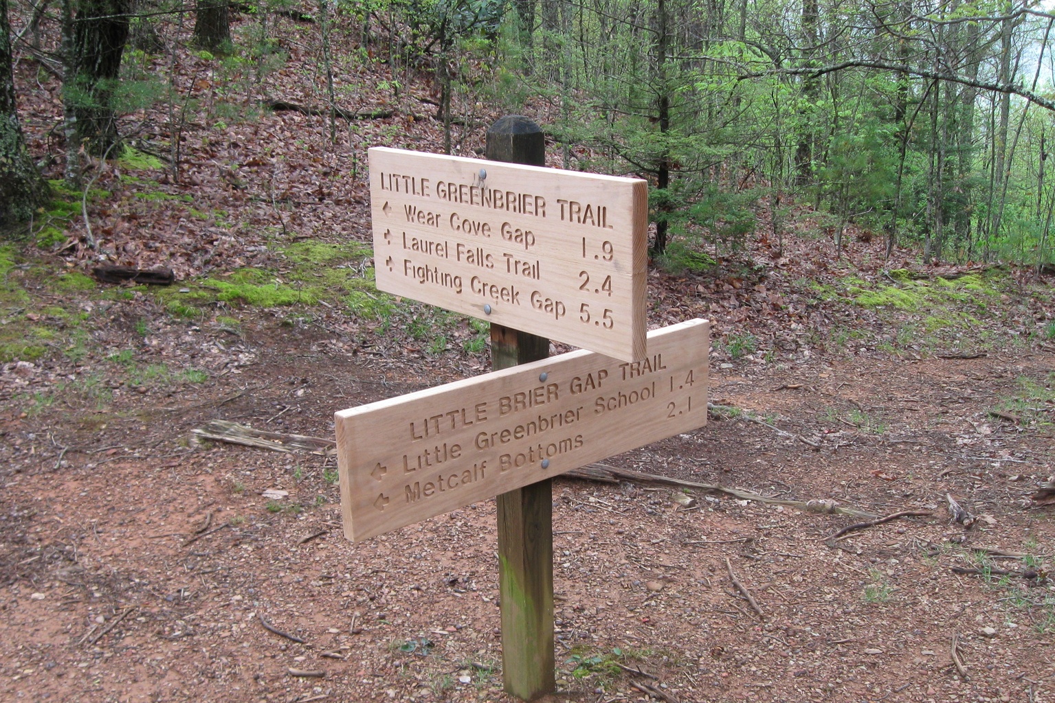 Little Brier Gap Trail