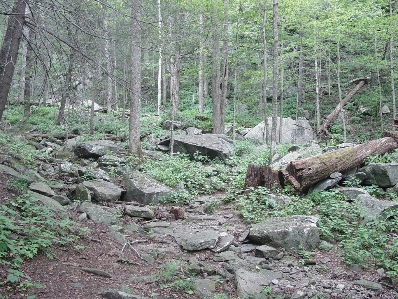 Rich Mountain Loop Trail