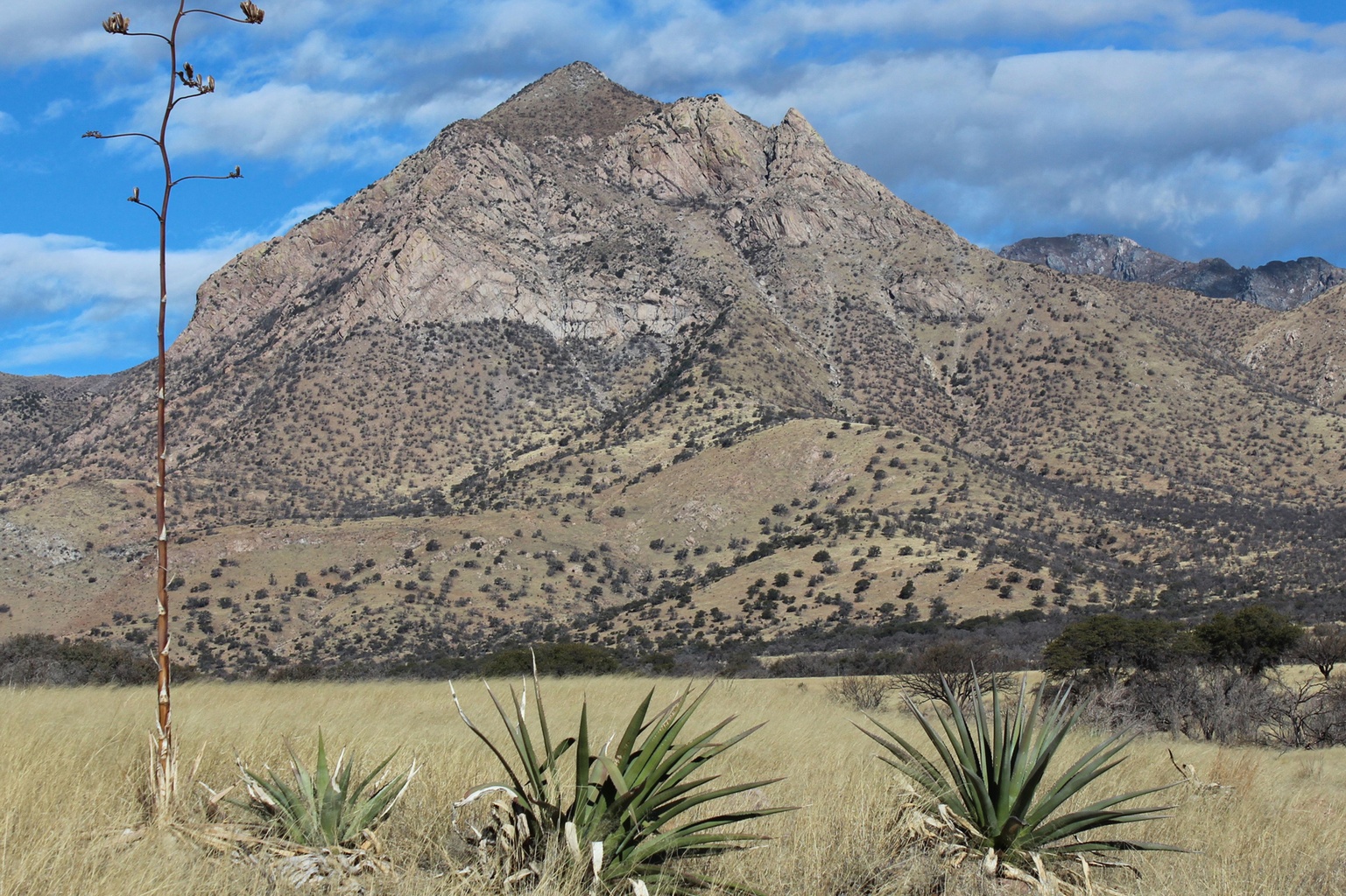 Coronado National Memorial