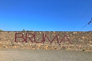 Bruma Valle de Guadalupe