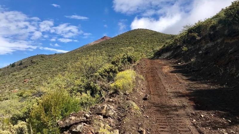 Polipoli Spring State Recreation Area