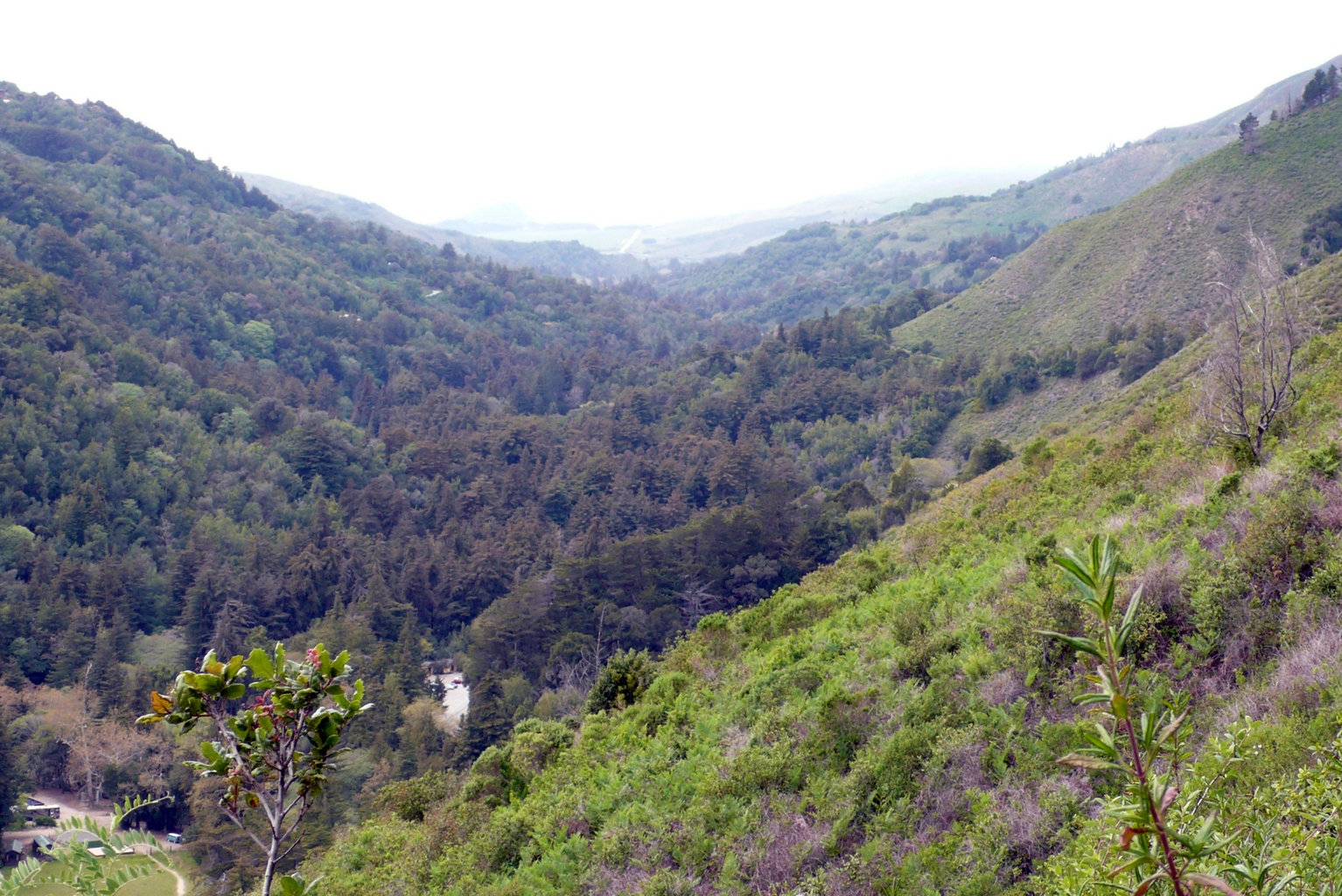 Valley View Overlook