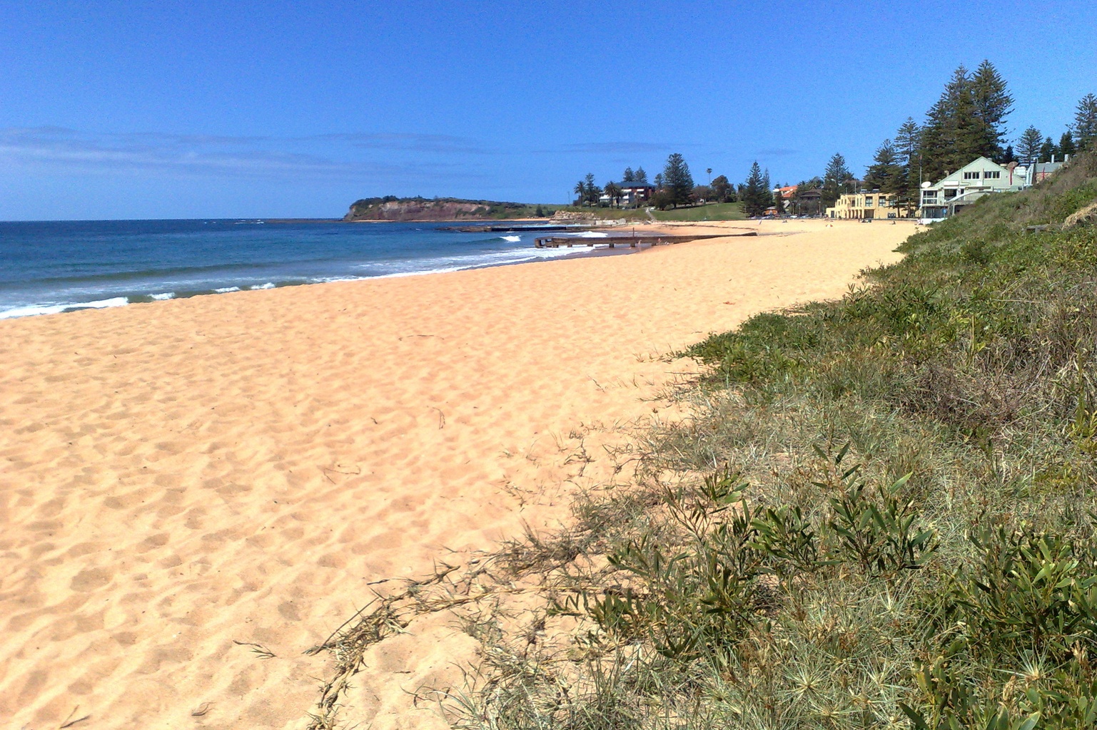 Collaroy Beach