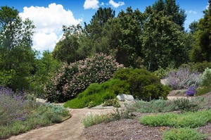 Rancho Santa Ana Botanic Garden